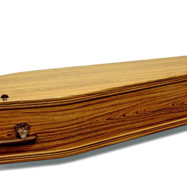 Affordable Funeral Coffins and Caskets Services(40+ Designs)